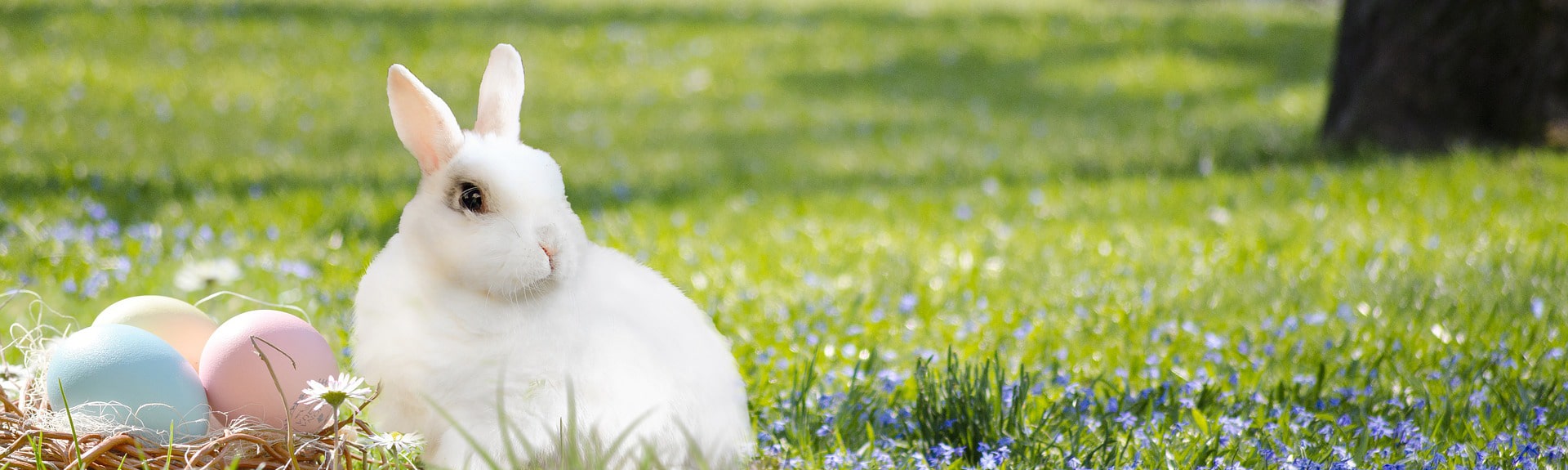 Easter 2021 | Big Bear Vacations