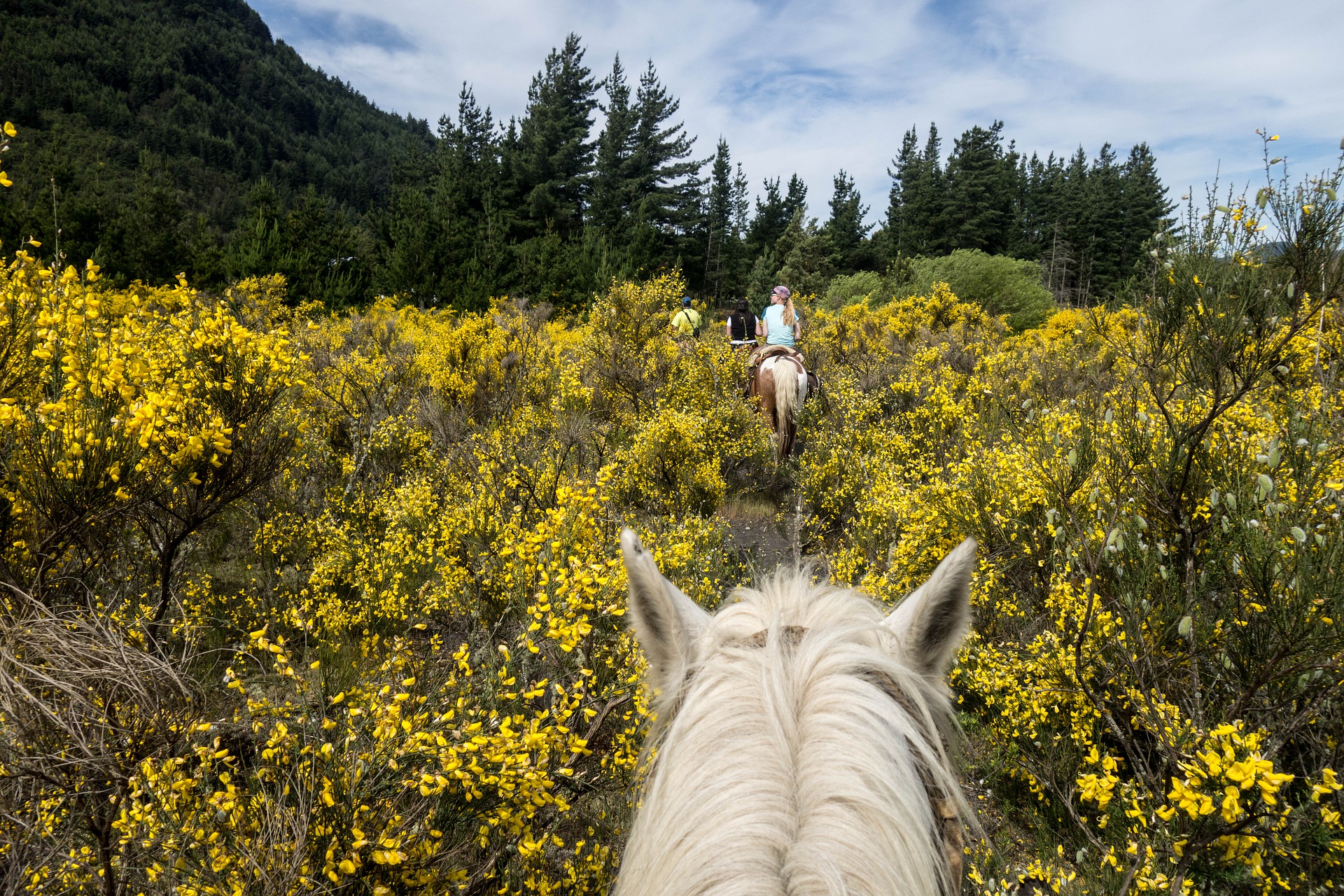 Experience Summer Activities In Big Bear Big Bear Vacations Experience Summer Activities In Big Bear Big Bear Vacations