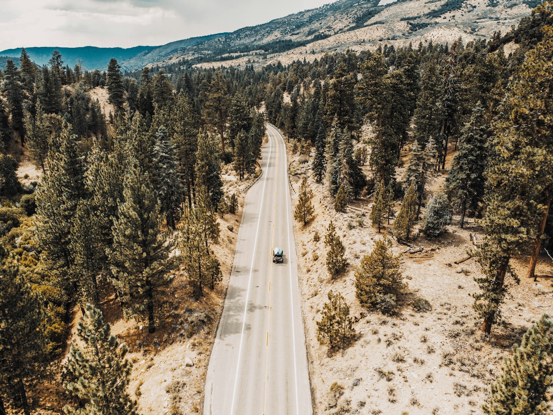 Planning Your Big Bear Summer Vacation | Big Bear Vacations