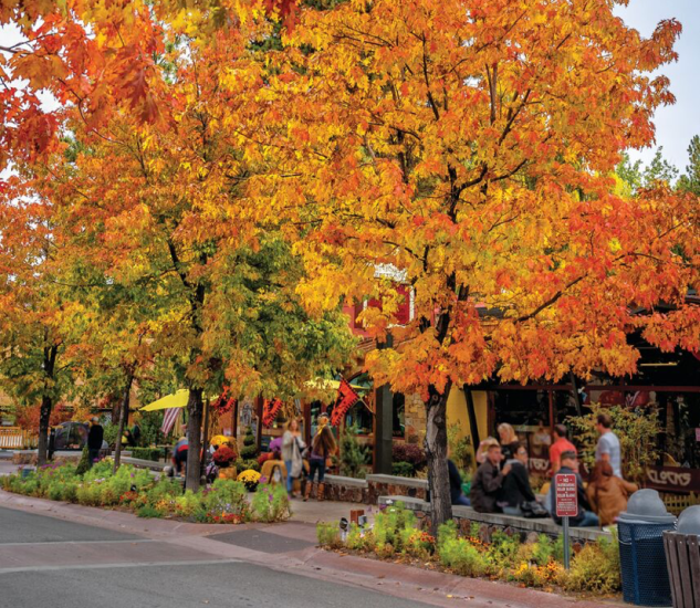 Experience Big Bear Fall Bucket List | Big Bear Vacations