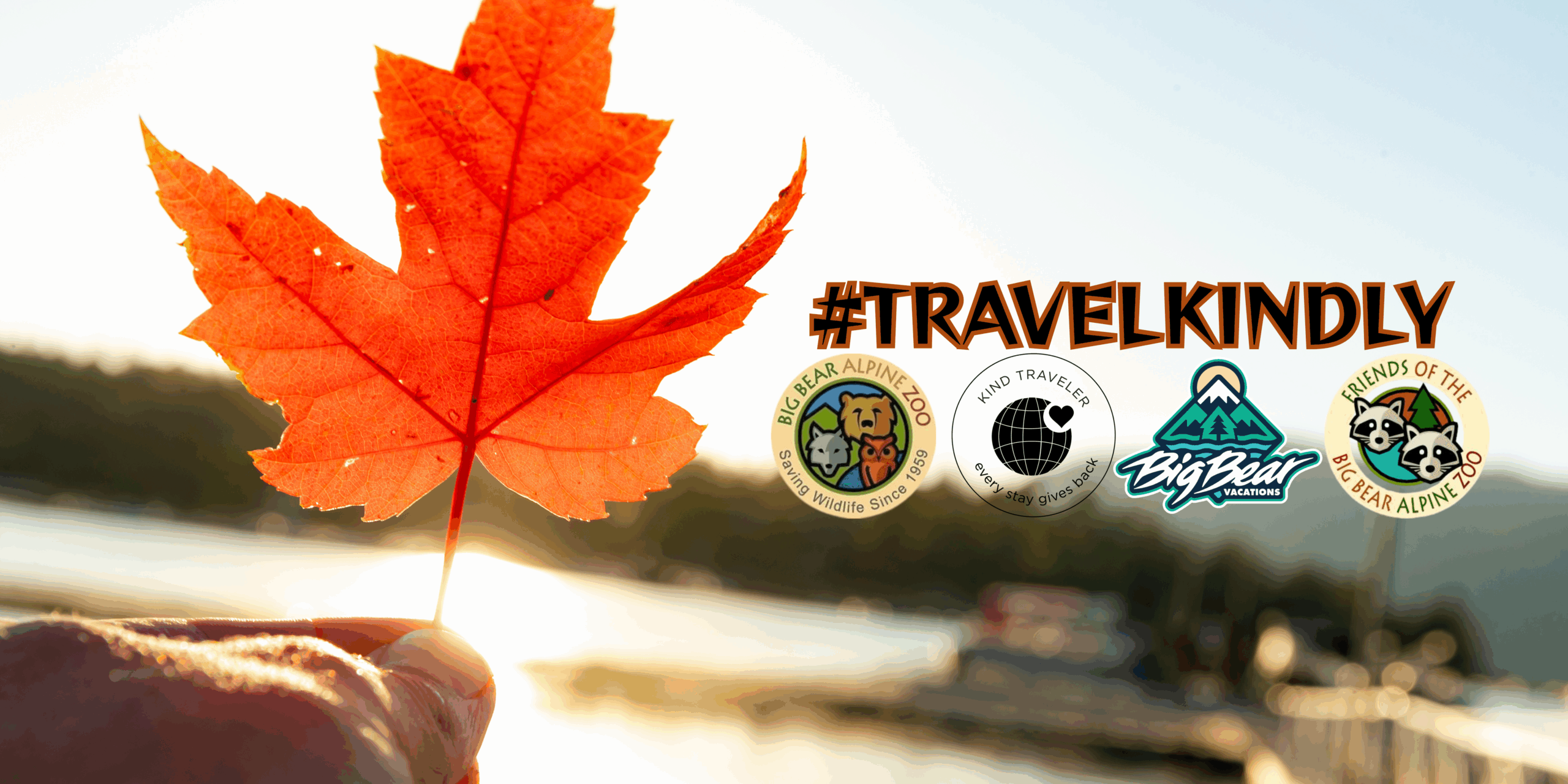 Community Impact: Giving Back with Kind Traveler | Big Bear Vacations